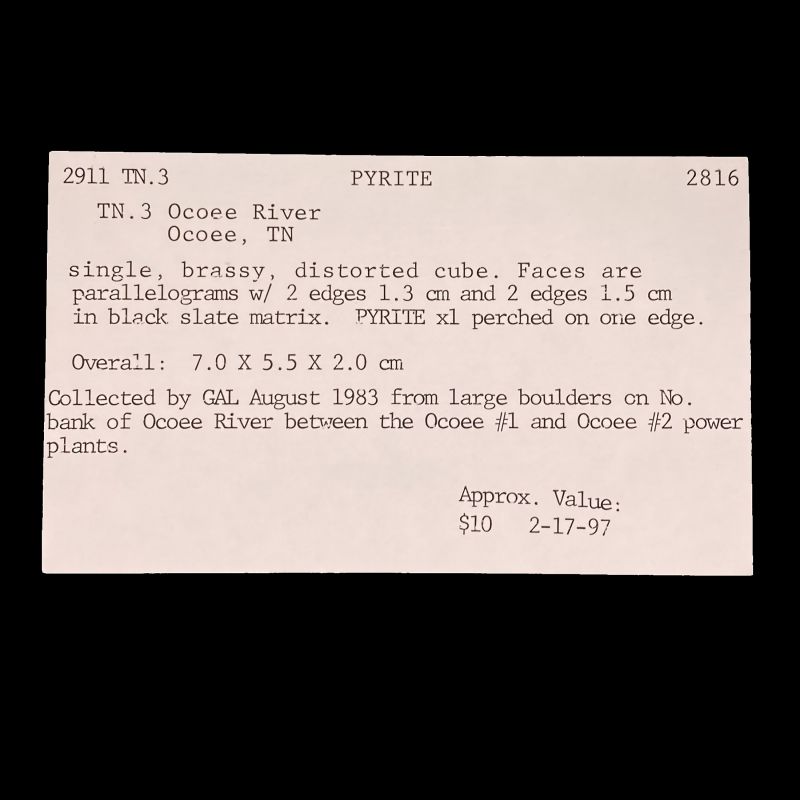 Pyrite (RARE locality specimen) (Collected by George Loud: August 1983 ...