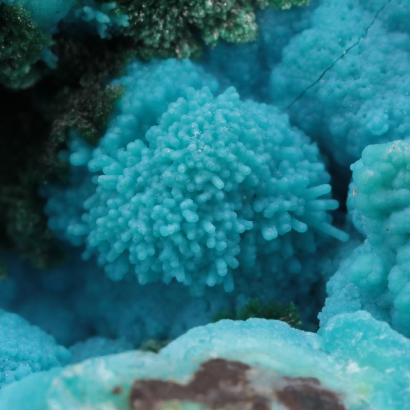 Chrysocolla (RARE Nevada locality) | May Day Mine, Bristol Silver Mines ...