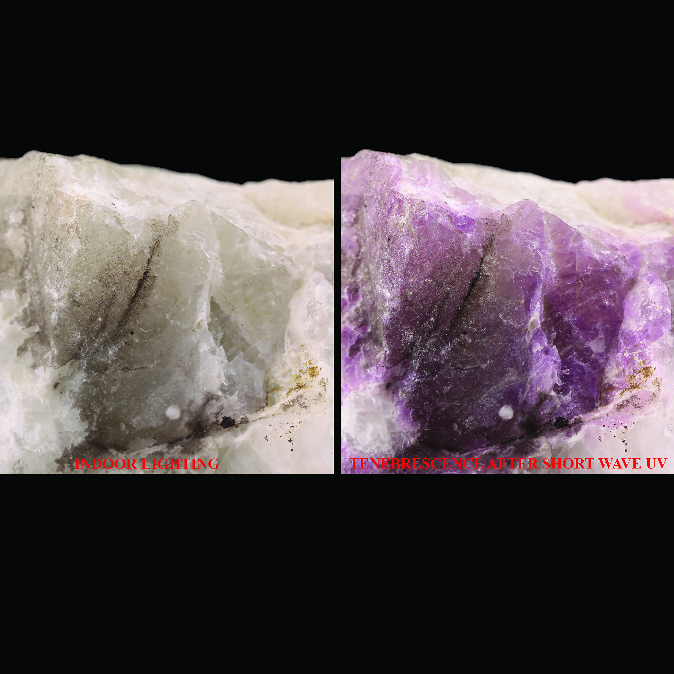 Sodalite var: Hackmanite (fluorescent and tenebrescent) | Tunulliarfik ...