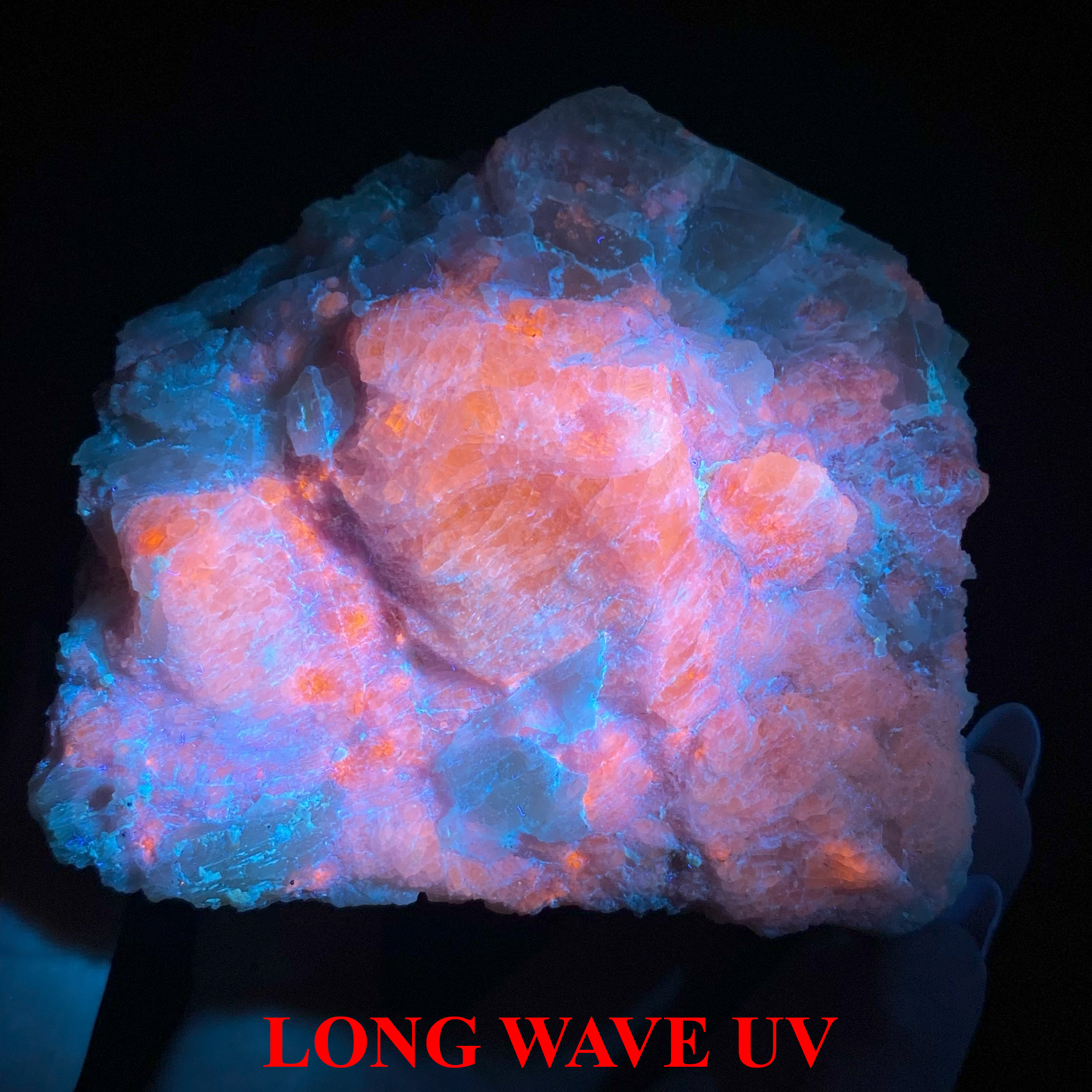 Sodalite var: Hackmanite (fluorescent and tenebrescent) | Sar-e-Sang ...