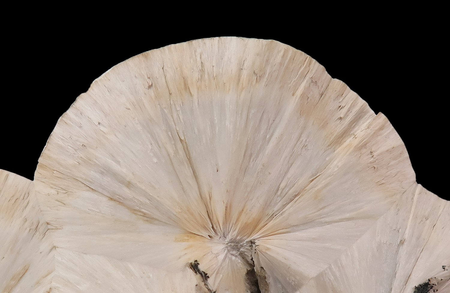 Pectolite (classic locale) | Paterson, Passaic Co., New Jersey, USA