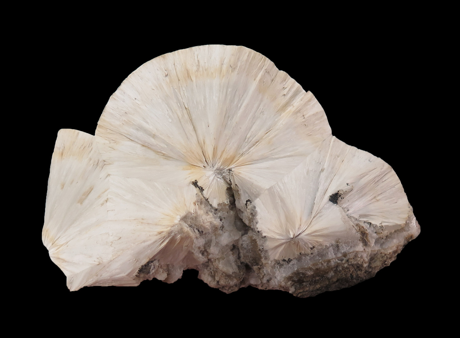 Pectolite (classic locale) | Paterson, Passaic Co., New Jersey, USA