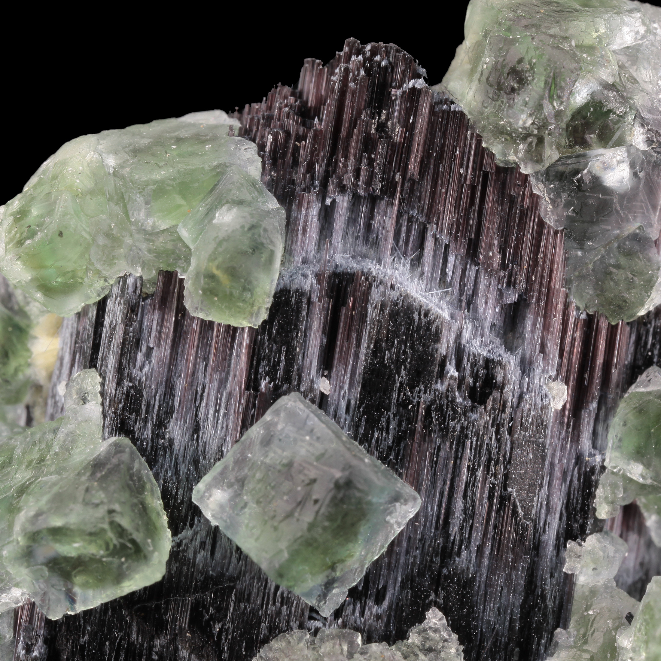 Fluorite with Schorl and Muscovite | Erongo Mountains, Erongo Region ...