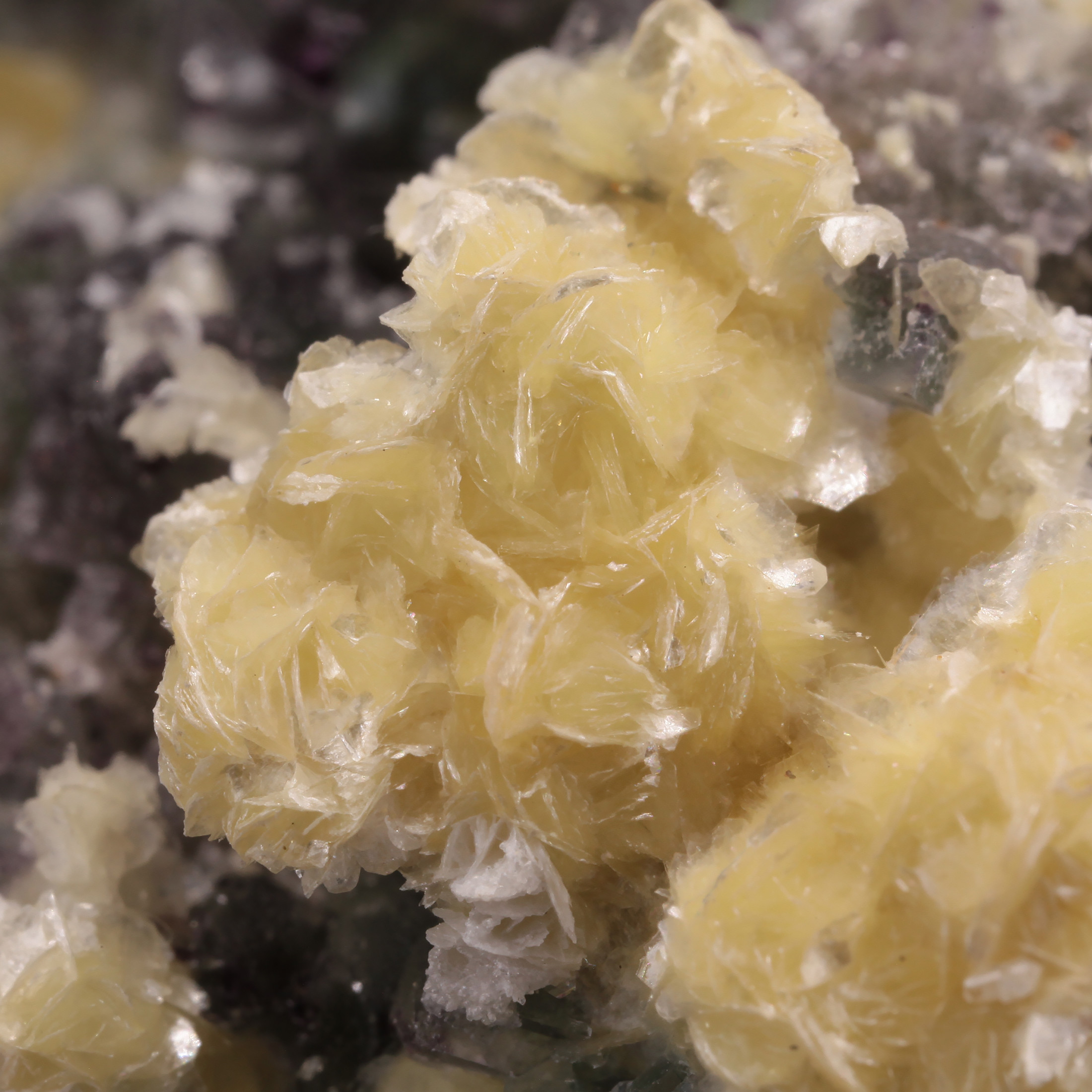 Fluorite with Schorl and Muscovite | Erongo Mountains, Erongo Region ...