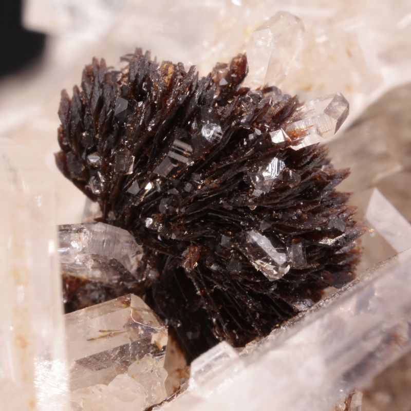 Hubeite (rare) with Fluorapophyllite-(K) on Quartz | Fengjiashan Mine ...