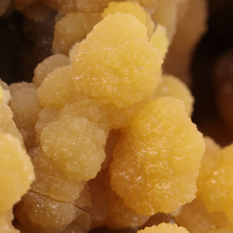 Mimetite (classic material) | Ojuela Mine, Mapimí, Durango, Mexico