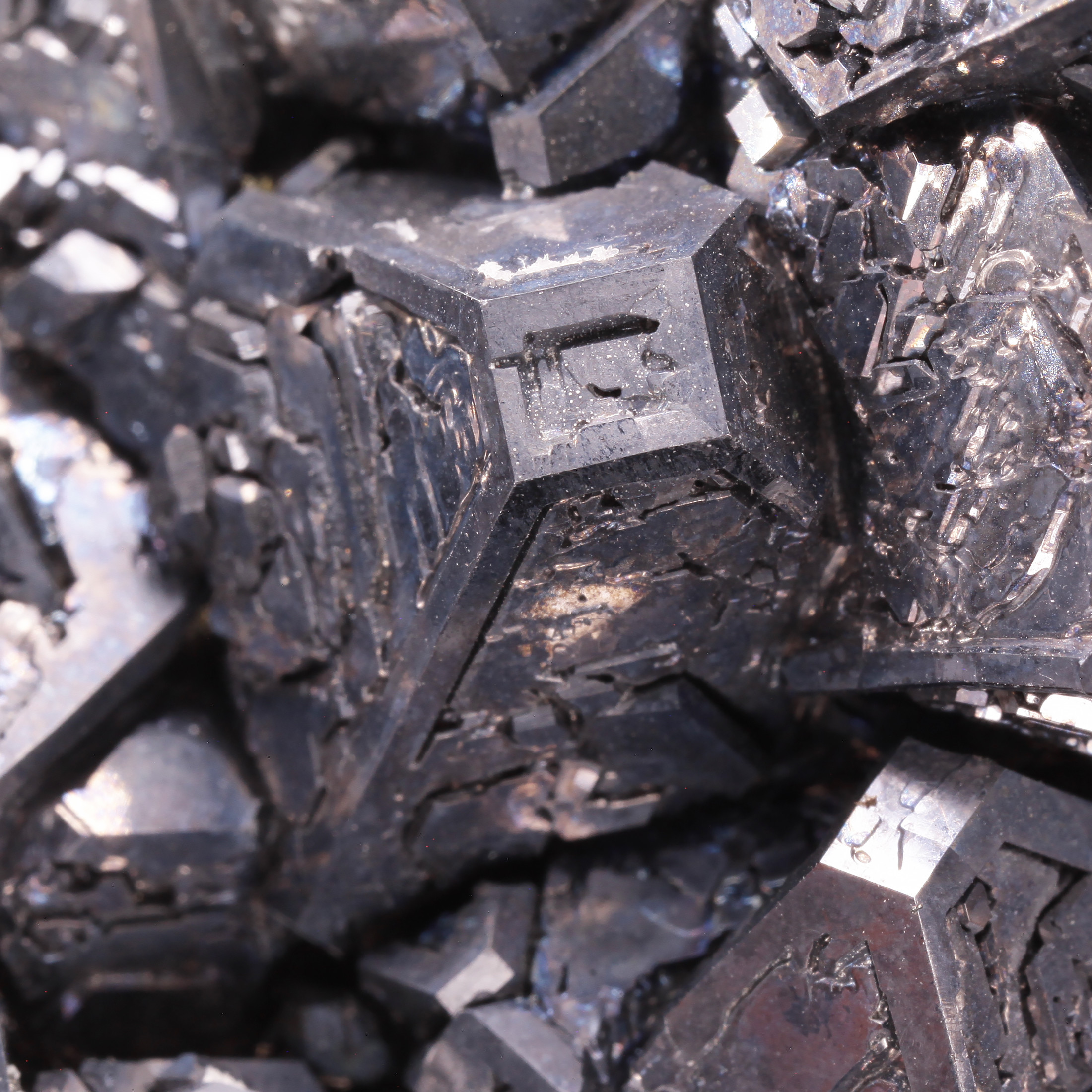 Galena (fine cuboctahedral crystals) (excellent locality specimen ...