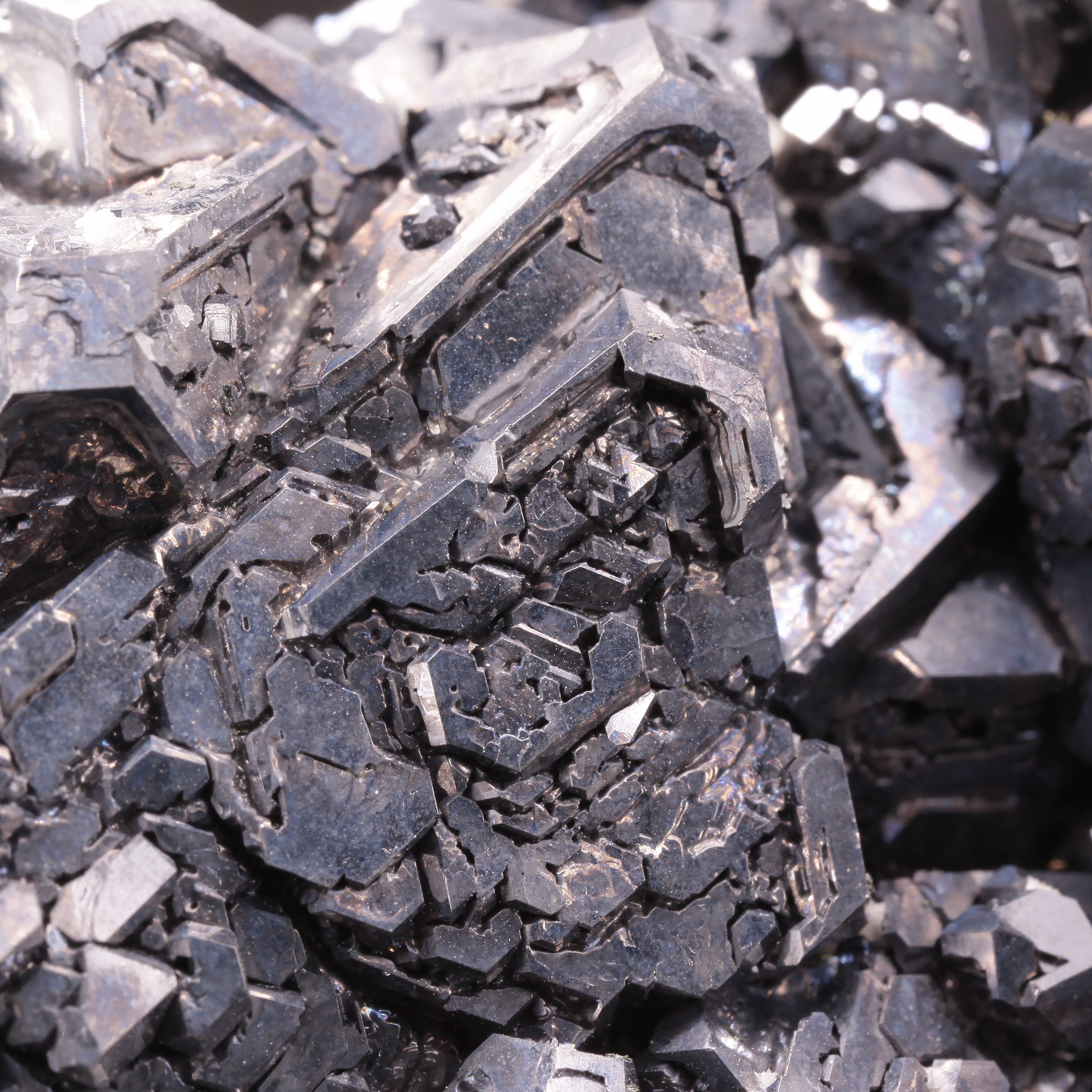 Galena (fine cuboctahedral crystals) (excellent locality specimen ...