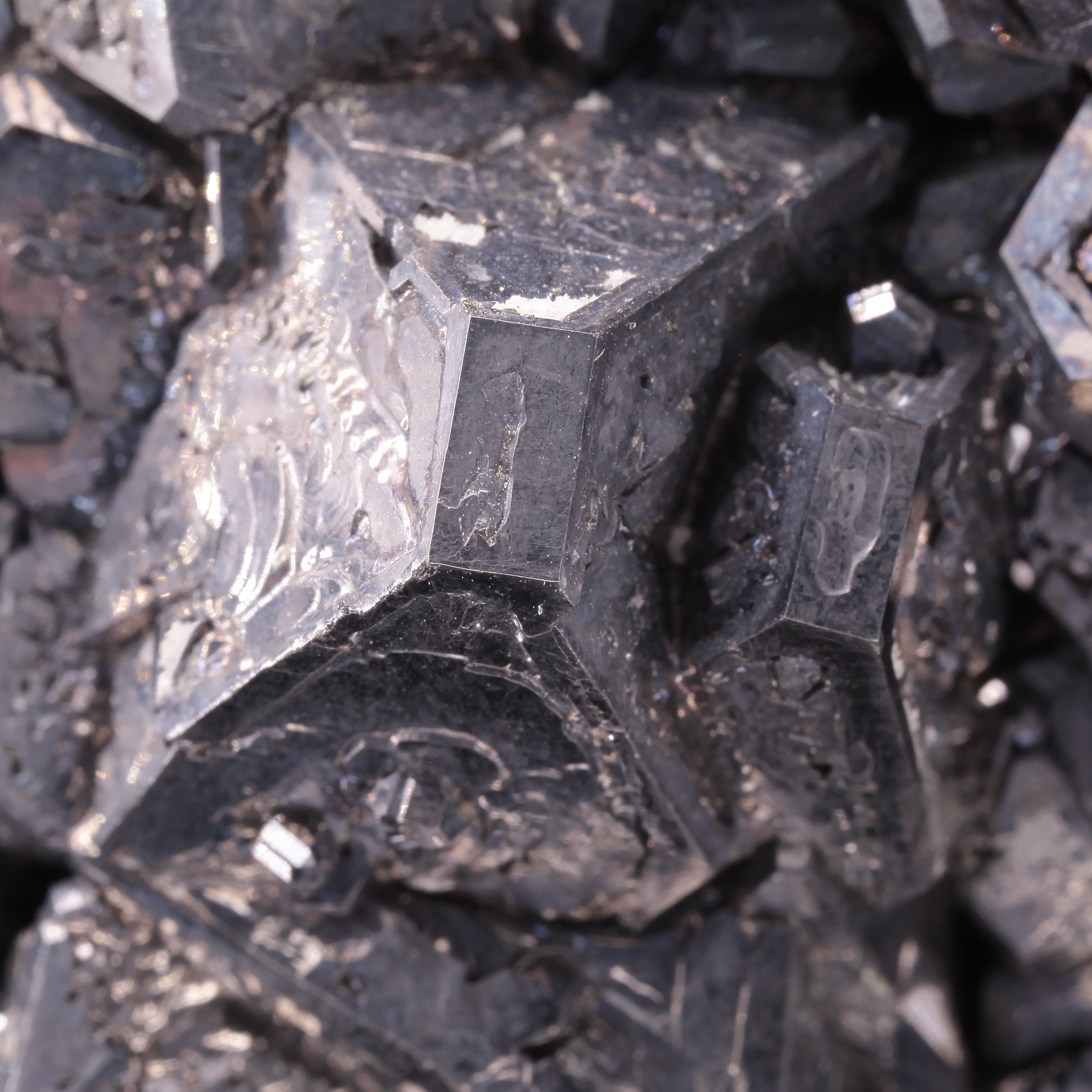 Galena (fine cuboctahedral crystals) (excellent locality specimen ...