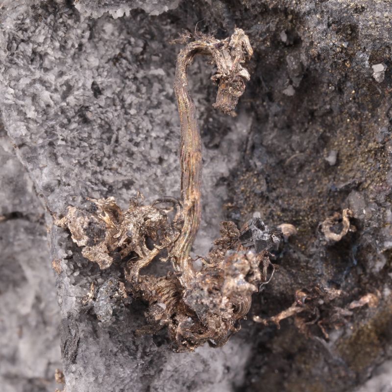 Wire Silver (RARE Alaskan locality) | Stopes 758 and 710, Greens Creek ...