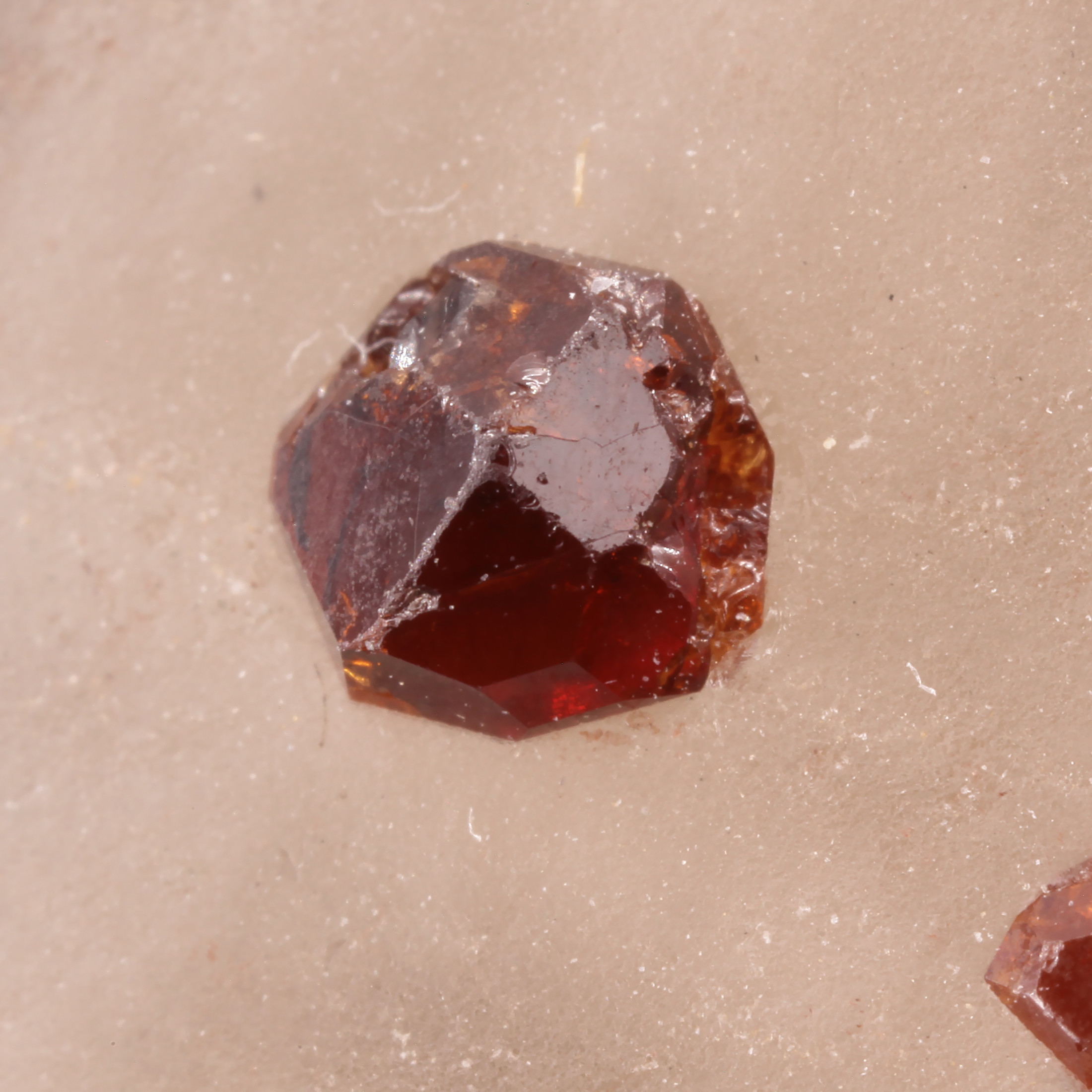 Spessartine Garnet on Smoky Quartz (RARE locality!) (recent find ...