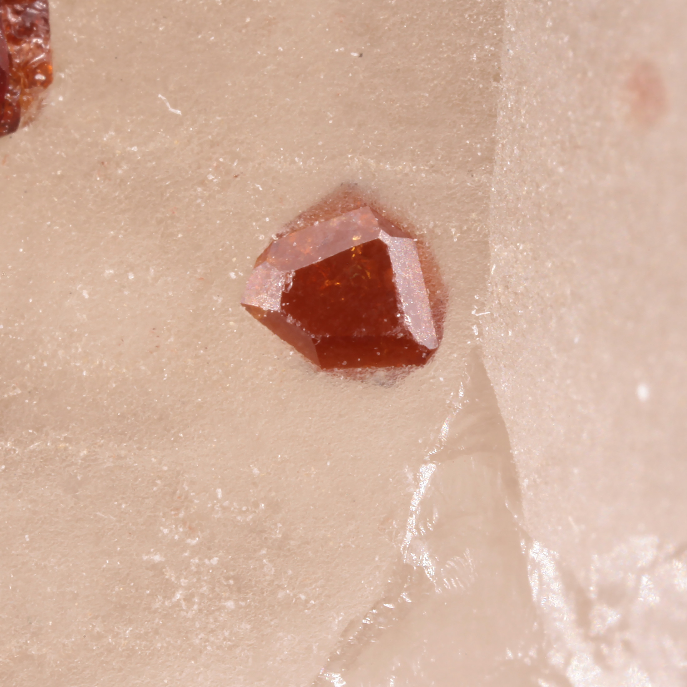 Spessartine Garnet on Smoky Quartz (RARE locality!) (recent find ...
