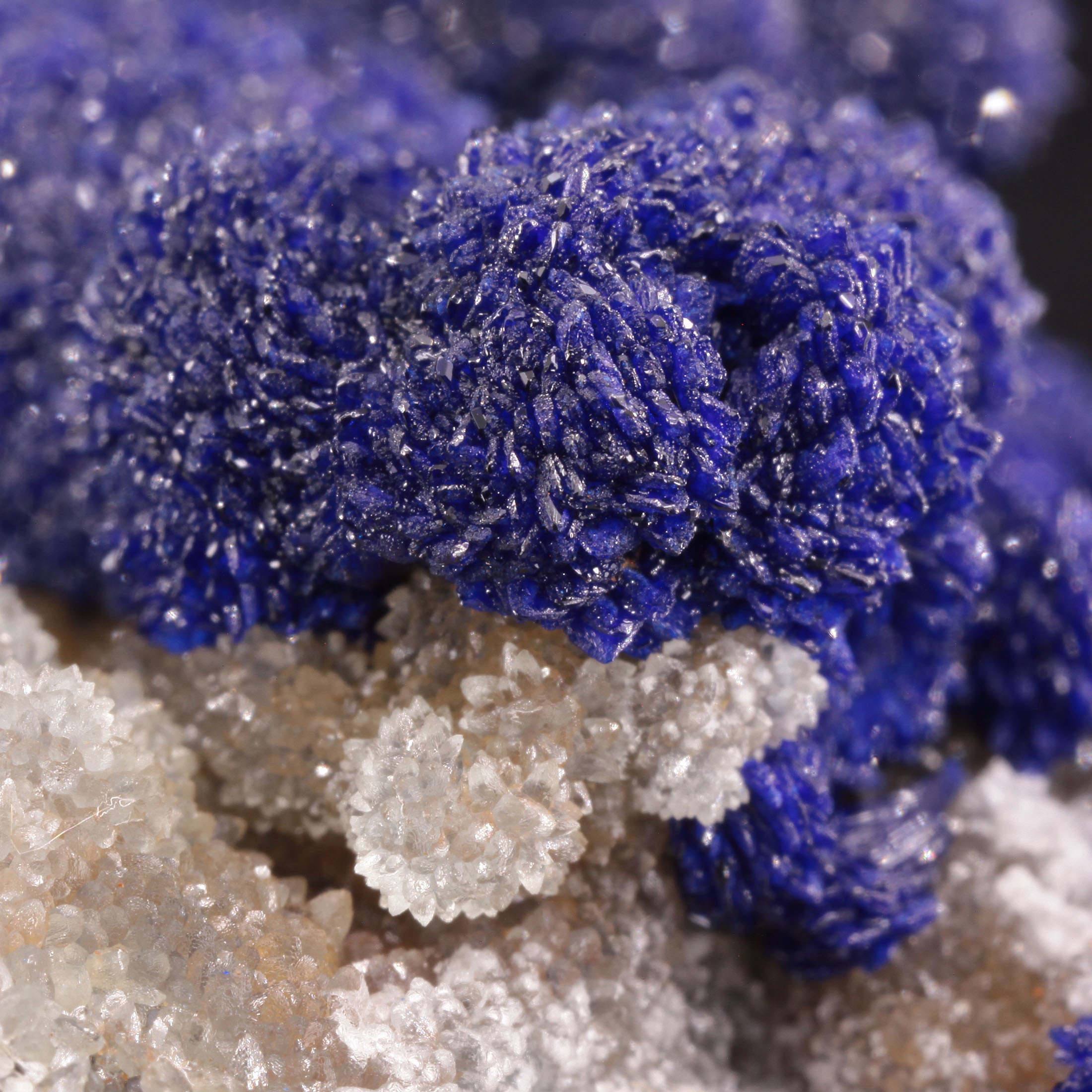 Azurite on Smithsonite (rare locality specimen) | Yanga Koubenza ...