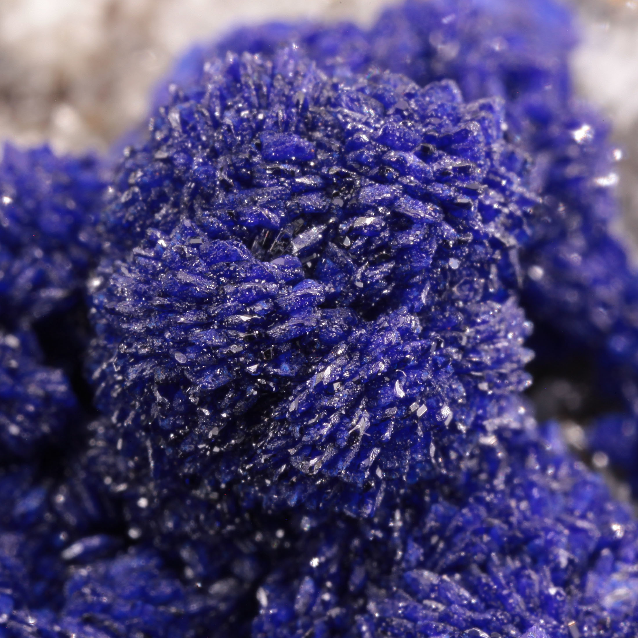 Azurite on Smithsonite (rare locality specimen) | Yanga Koubenza ...
