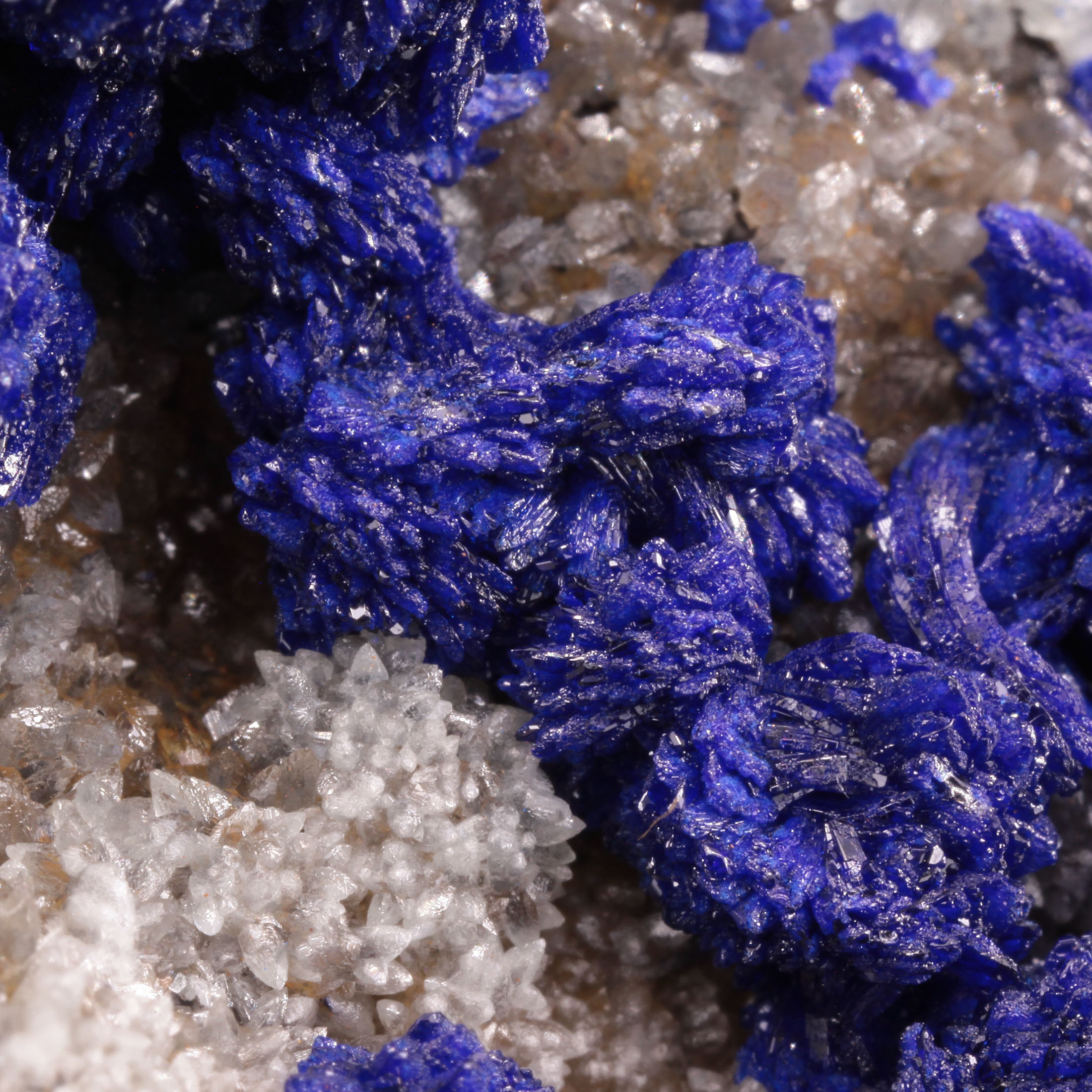 Azurite on Smithsonite (rare locality specimen) | Yanga Koubenza ...