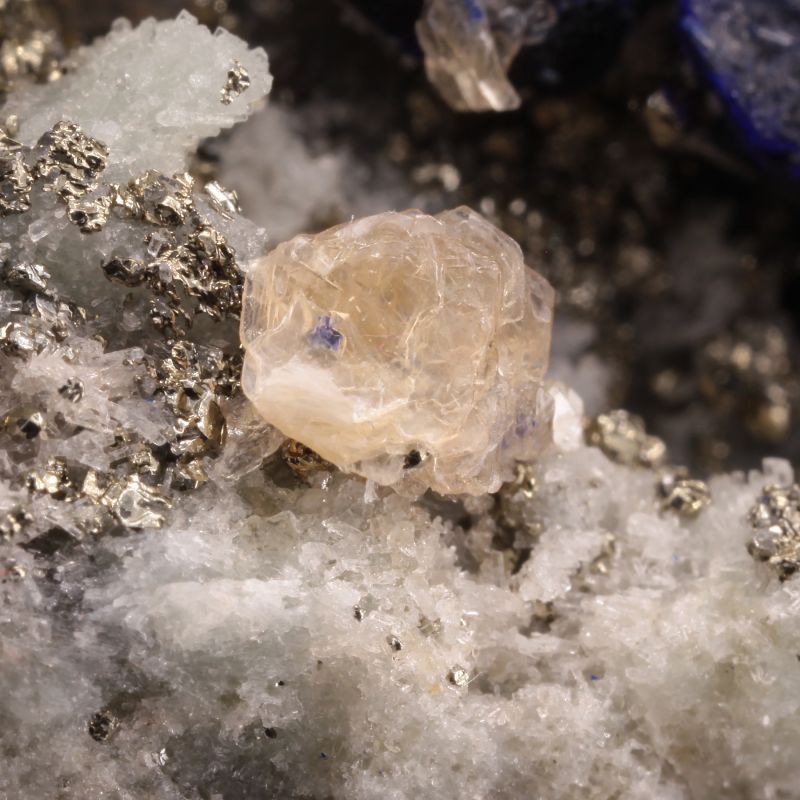 Lazurite with GEM Scapolite (fluorescent) | Sar-e-Sang, Kuran wa Munjan ...