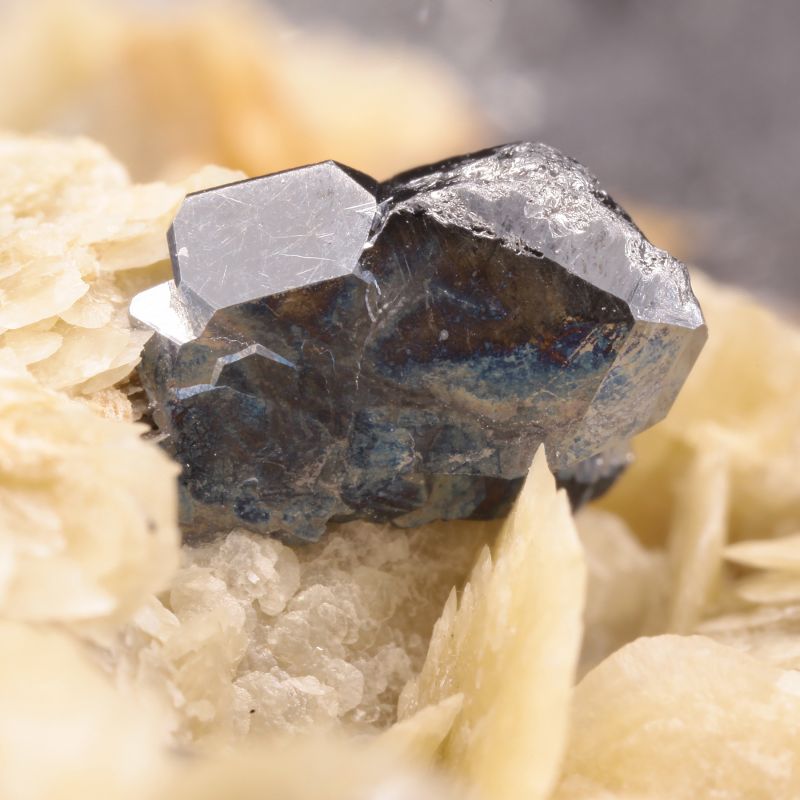 Bournonite (rare locality specimen) | La Mure, Grenoble, Isère ...